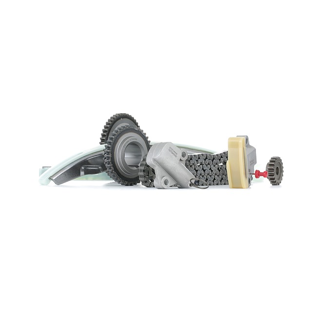 13091EN200 Timing chain kit OE number